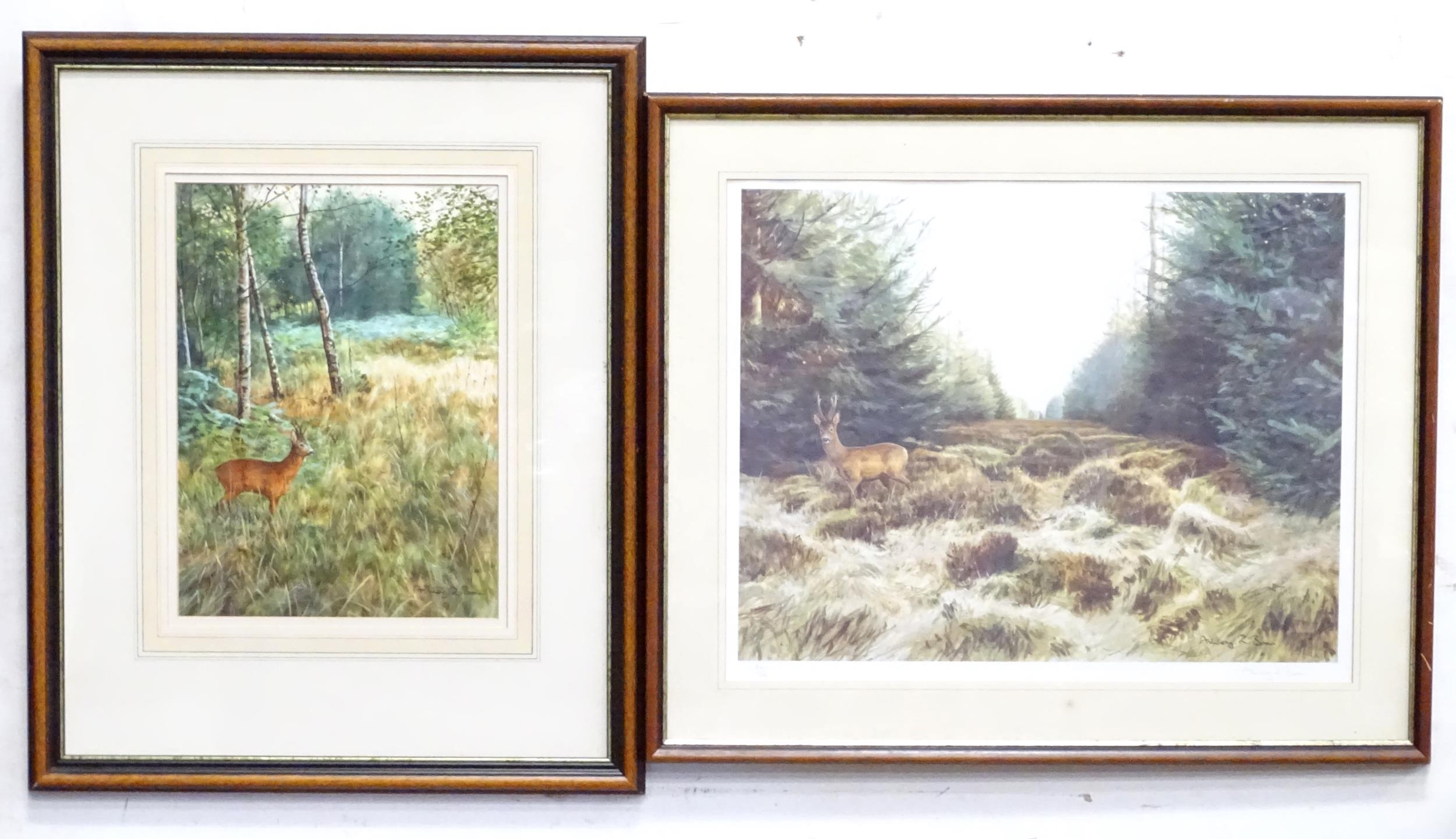 Ashley Boon | A study of a deer in a wooded landscape (2014) | MutualArt