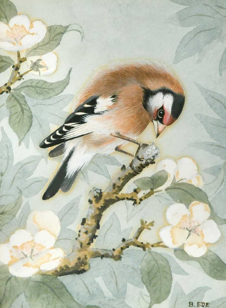 Basil Ede | Common Sheldrake | MutualArt