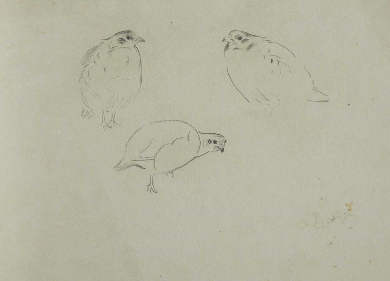 Archibald Thorburn | Archibald Thorburn FZS (Scottish | MutualArt