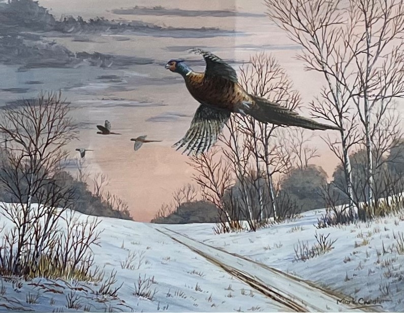 Mark Chester | Sleeping Otters | MutualArt