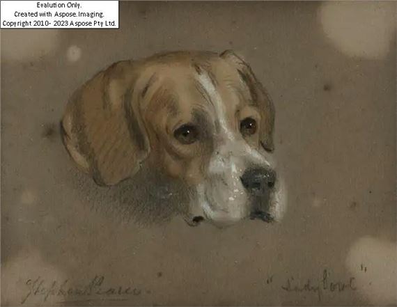 Stephen Pearce | British 1819-1904- Study of a beagle's head; pencil ...