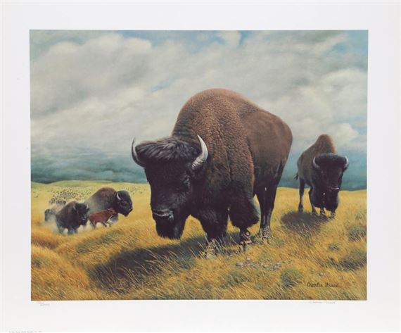 Charles Frace | BISON (1975) | MutualArt