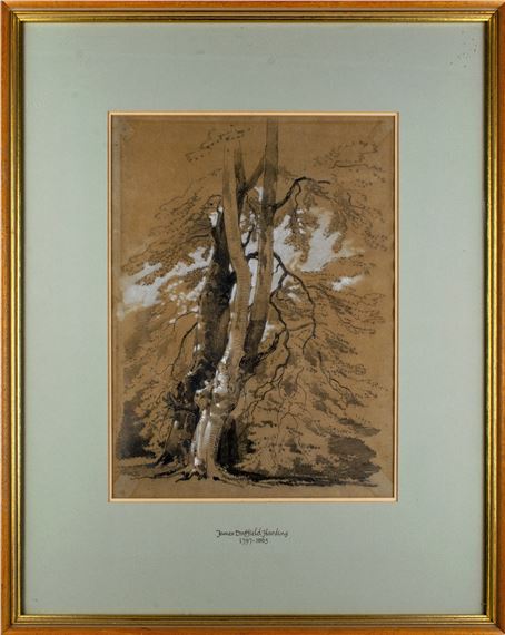 James Duffield Harding | Sketch with trees | MutualArt