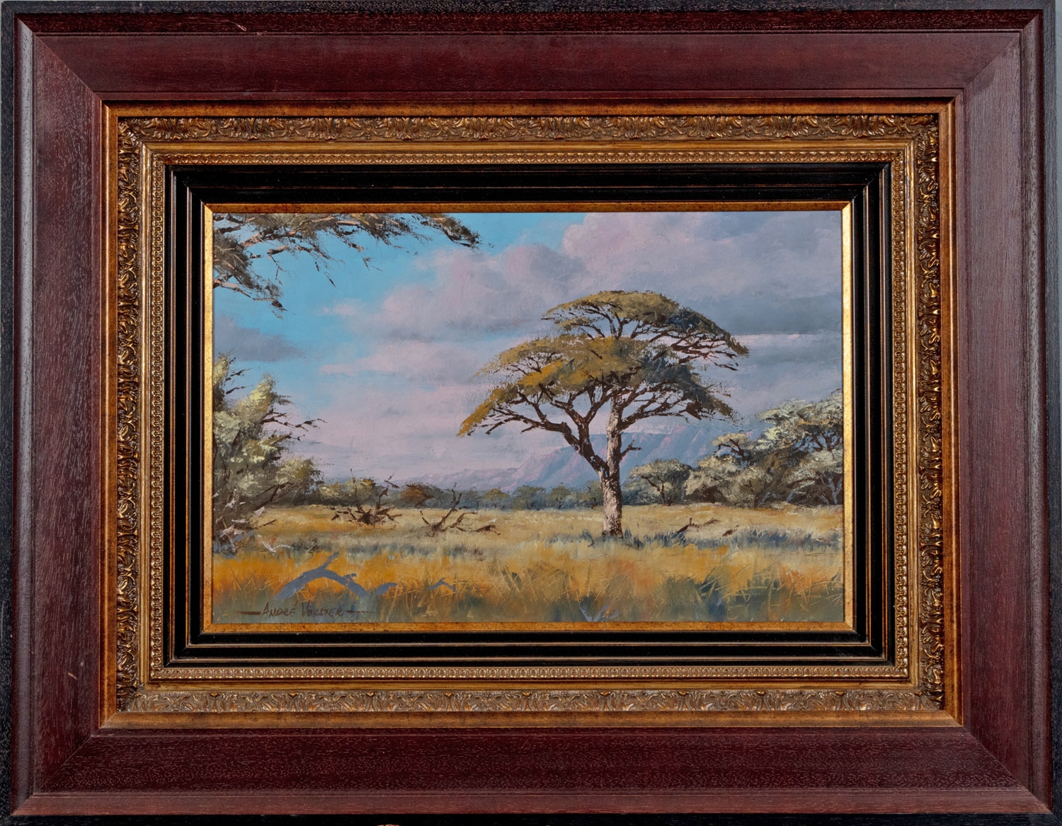 Andre Vorster | baobab tree | MutualArt