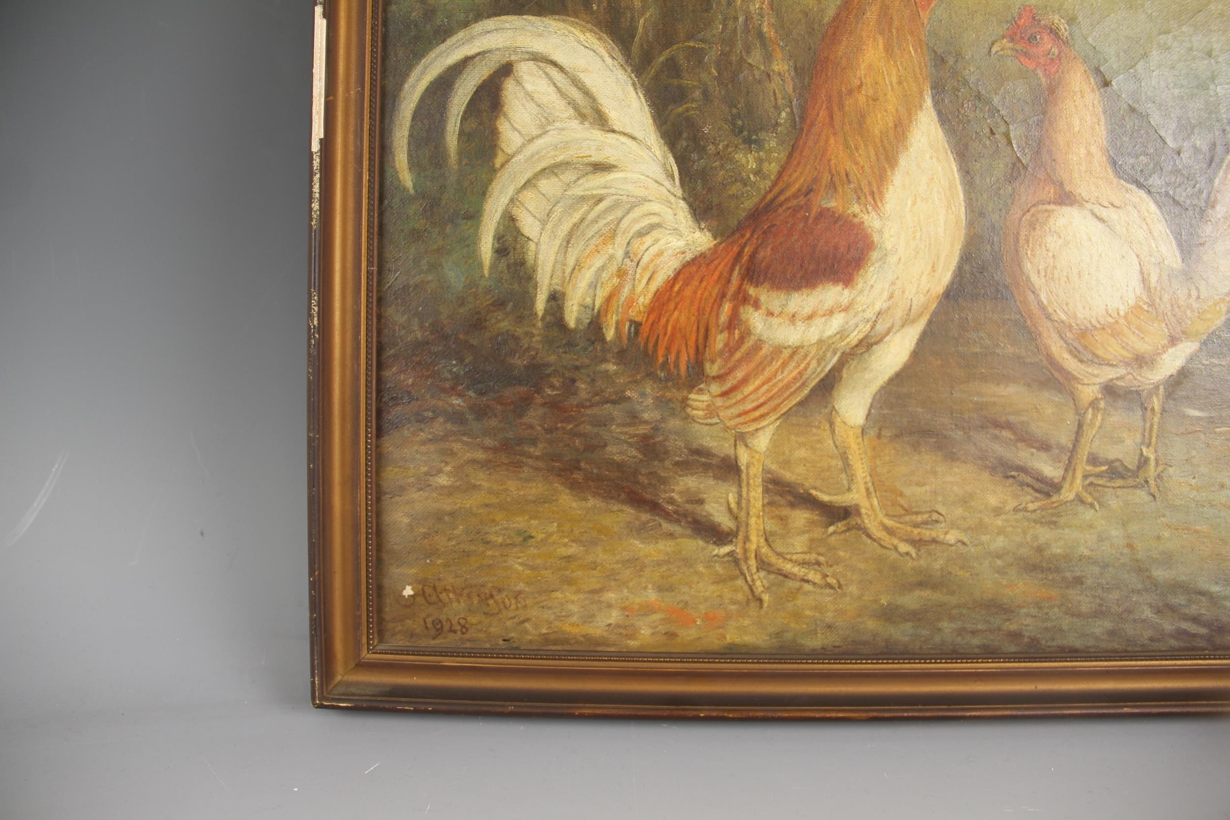 Herbert Atkinson | Portrait of two fighting cocks | MutualArt