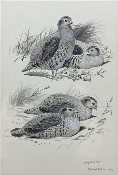 Richard Robjent | Grey Partridges (1982) | MutualArt