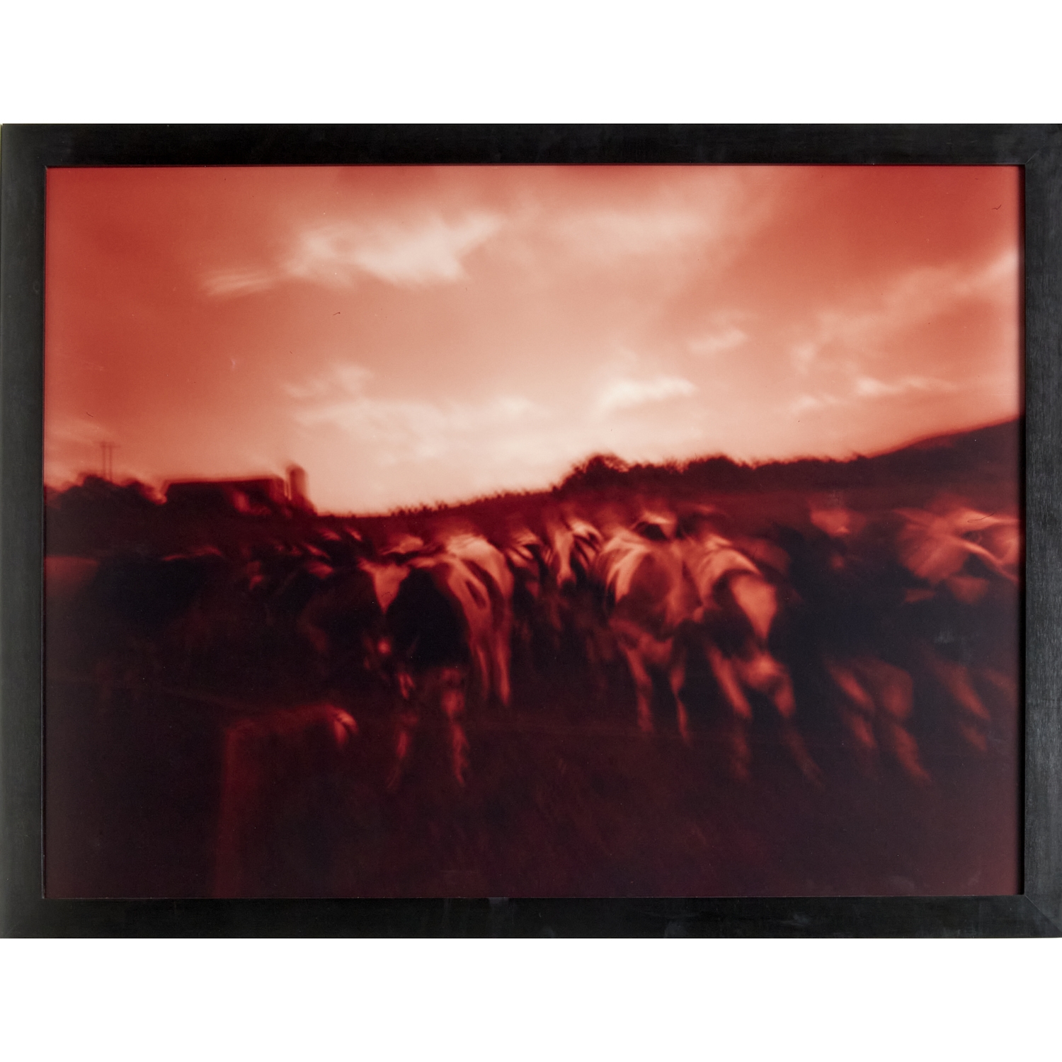 Barbara Ess | Barbara Ess, monochrome color photograph, 1986 (1986 ...