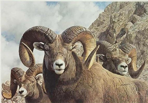 Carl Brenders | Rocky Kingdom Bighorn Sheep | MutualArt