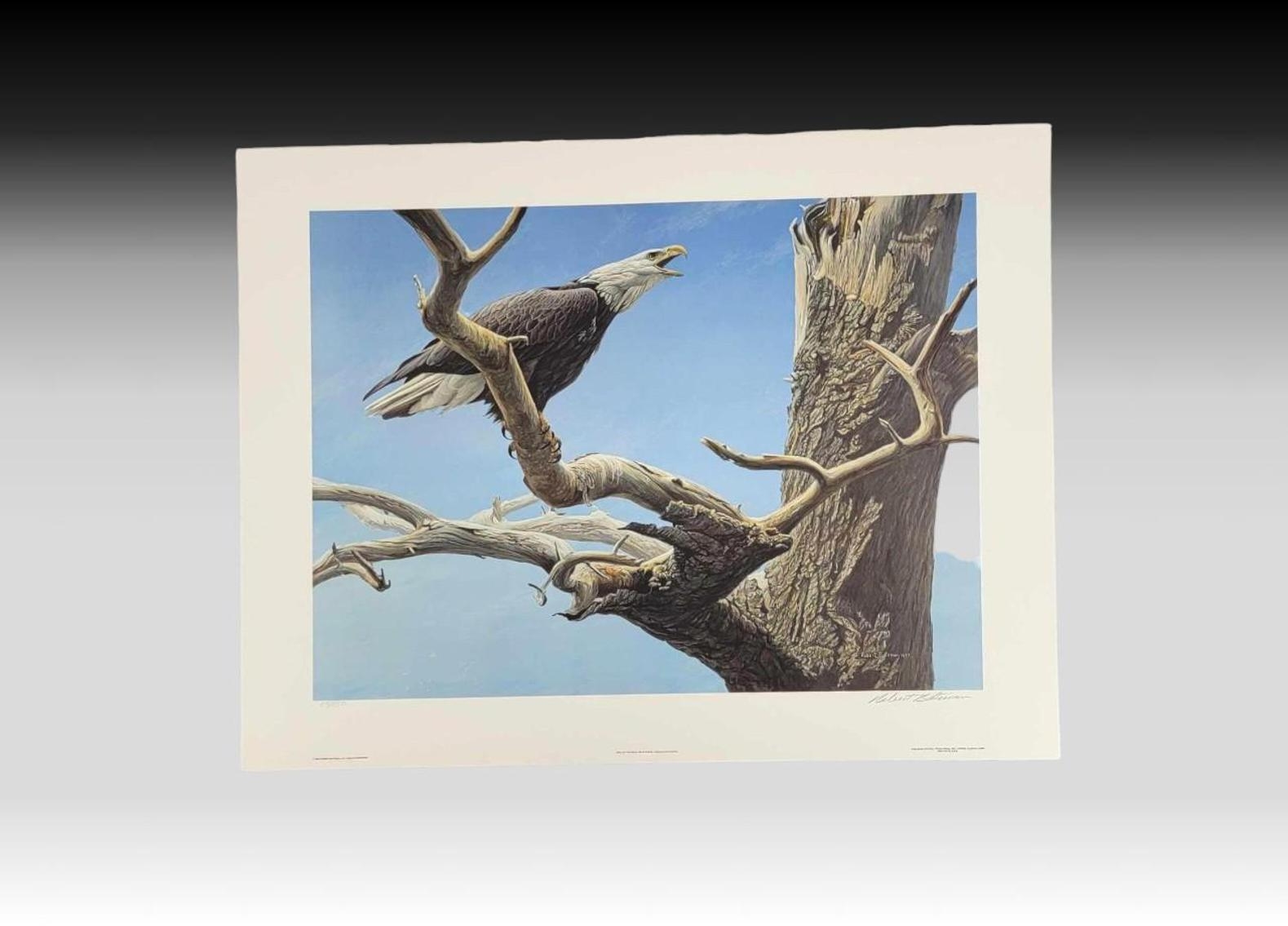 Robert McLellan Bateman | Call of the Wild - Bald Eagle | MutualArt