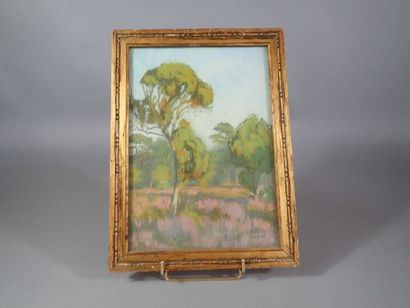 Charles Salomon Koechlin | Charles Salomon KOECHLIN (1880-1950 ...