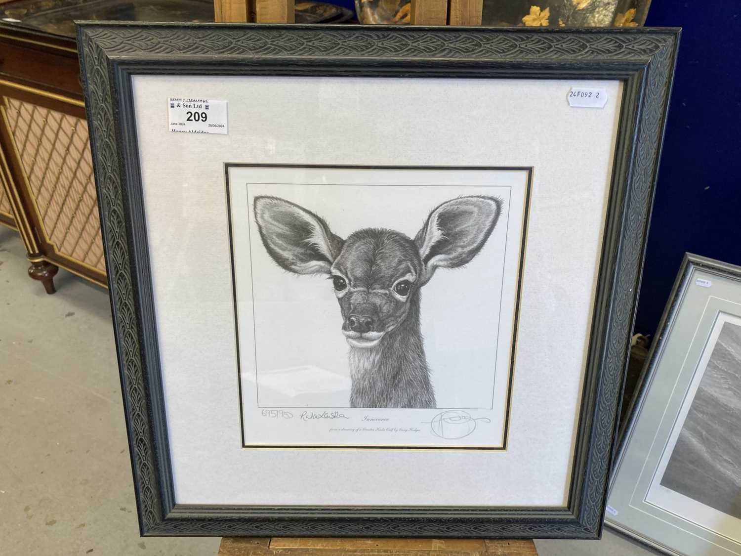 Gary Hodges | Signed limited edition print No. 695/900 'Innocence' 38cm ...