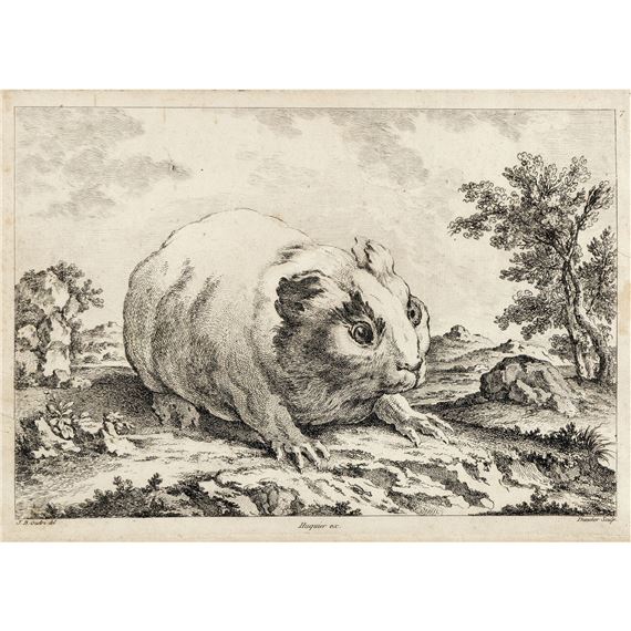 Balthazar Anton Dunker | Cobaya | MutualArt