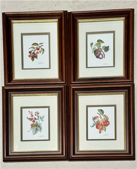 David R. Peplow | Biography