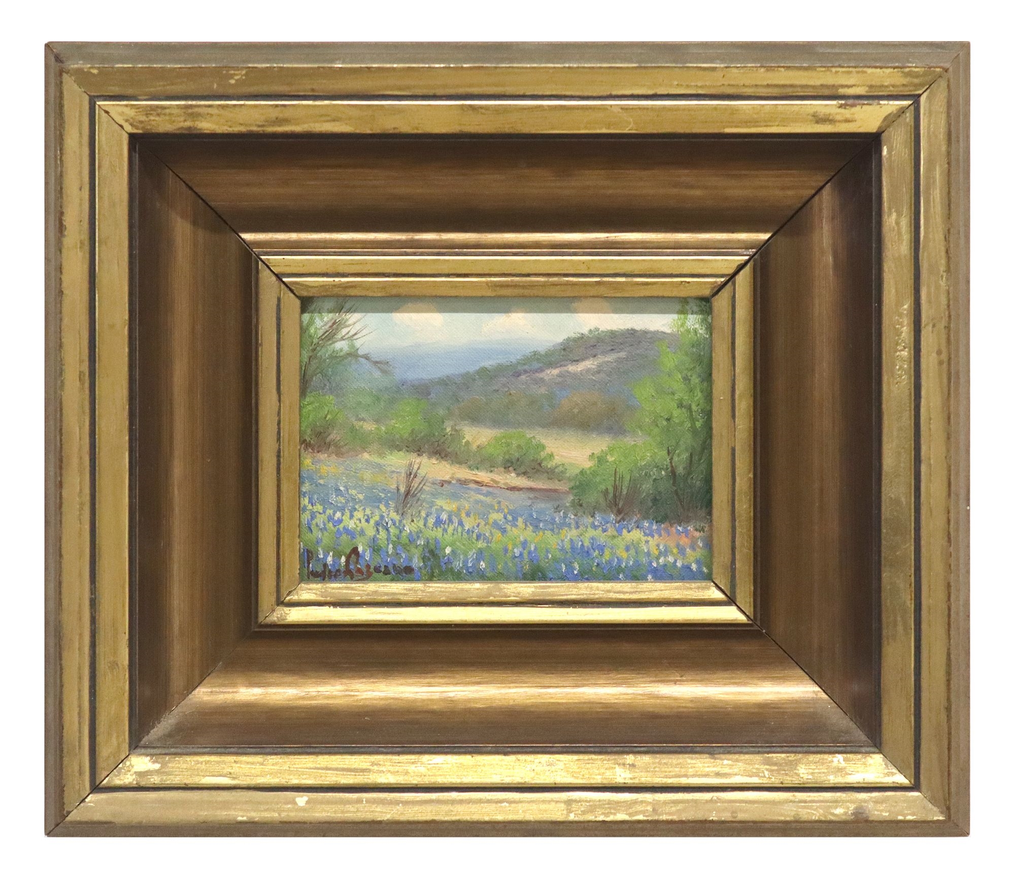 Pedro Lazcano | Texas Hills and Bluebonnets | MutualArt