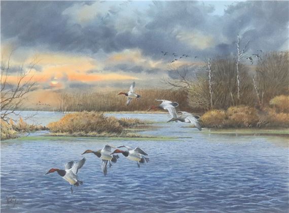 Ronnie Wells | Canvasback Ducks in Flight (2004) | MutualArt