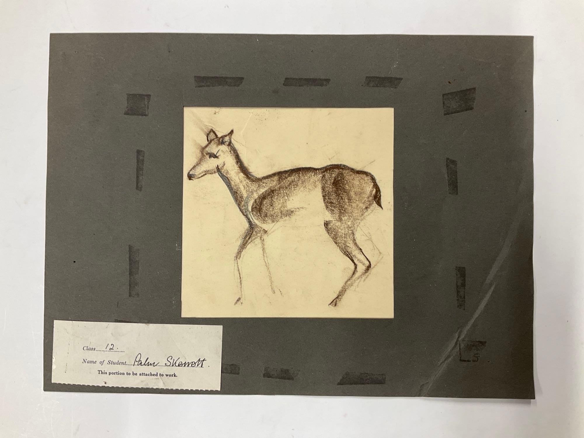 Palm Skerrett | Phoenix Park Deer | MutualArt