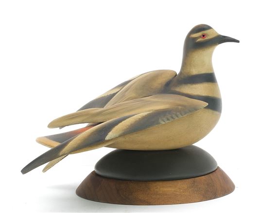 Sean Sutton | Biography