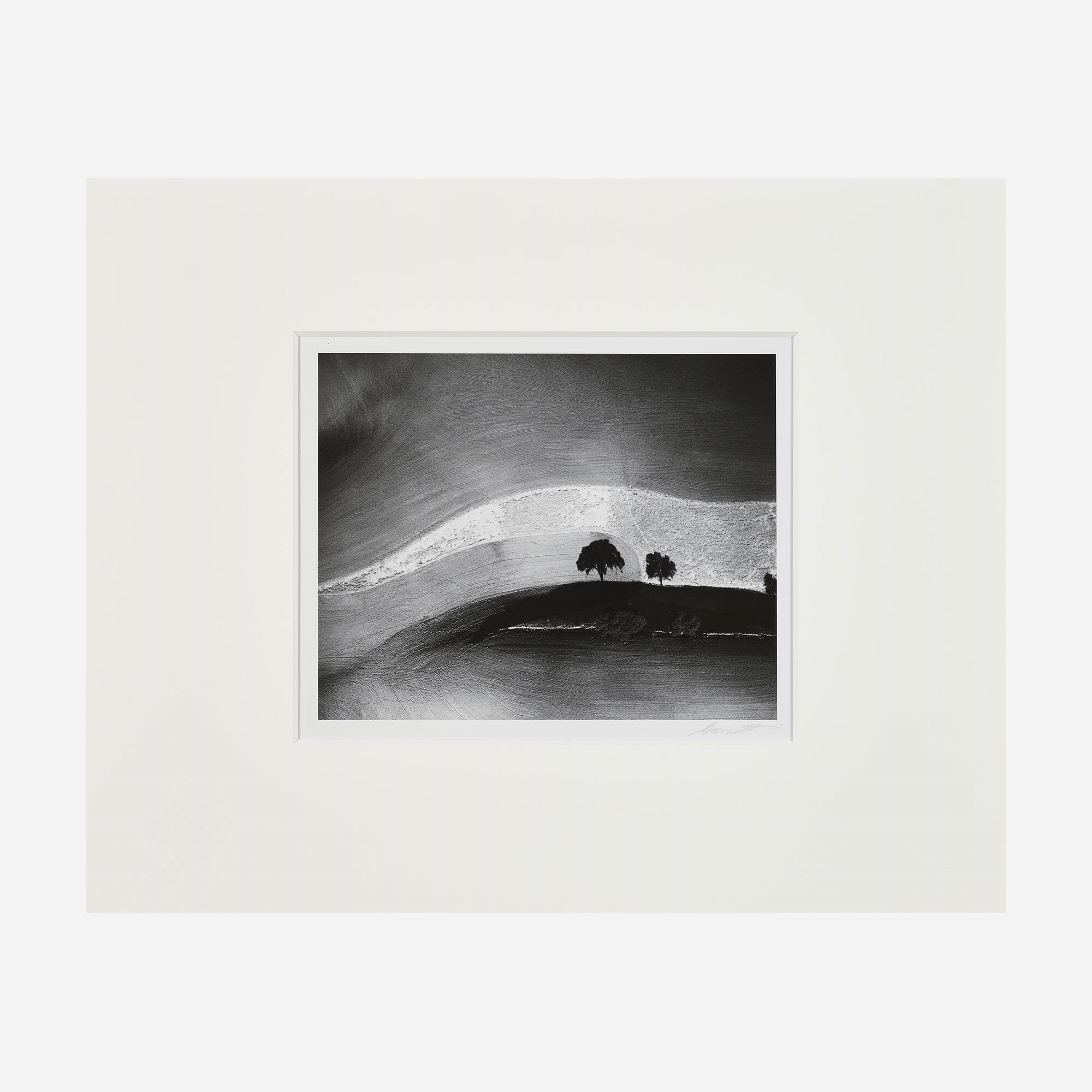 William Garnett | Two Trees on Hill with Shadows, Paso Robles, CA ...