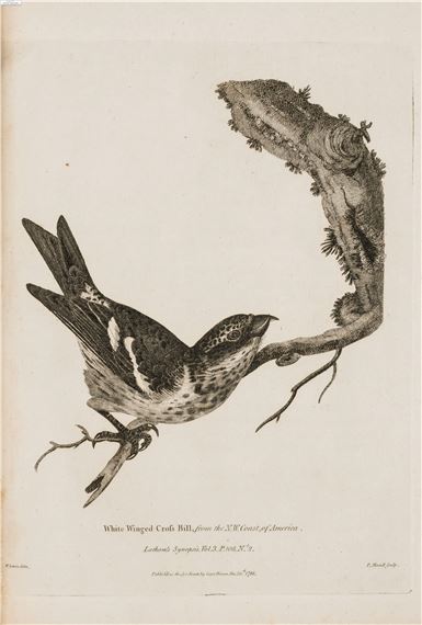 George Dixon | America.- [Beresford (William)] A Voyage Round the World ...