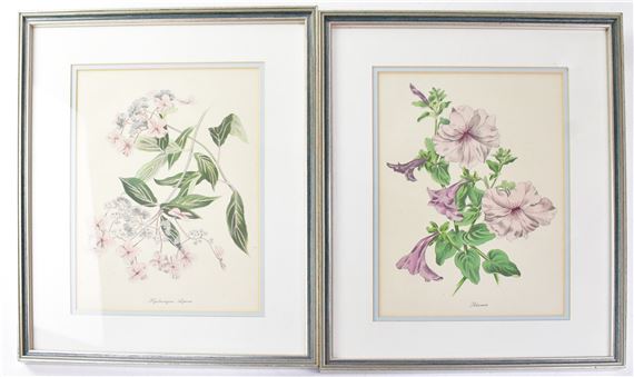 John Northcote Nash | English Garden Flowers (1948) | MutualArt