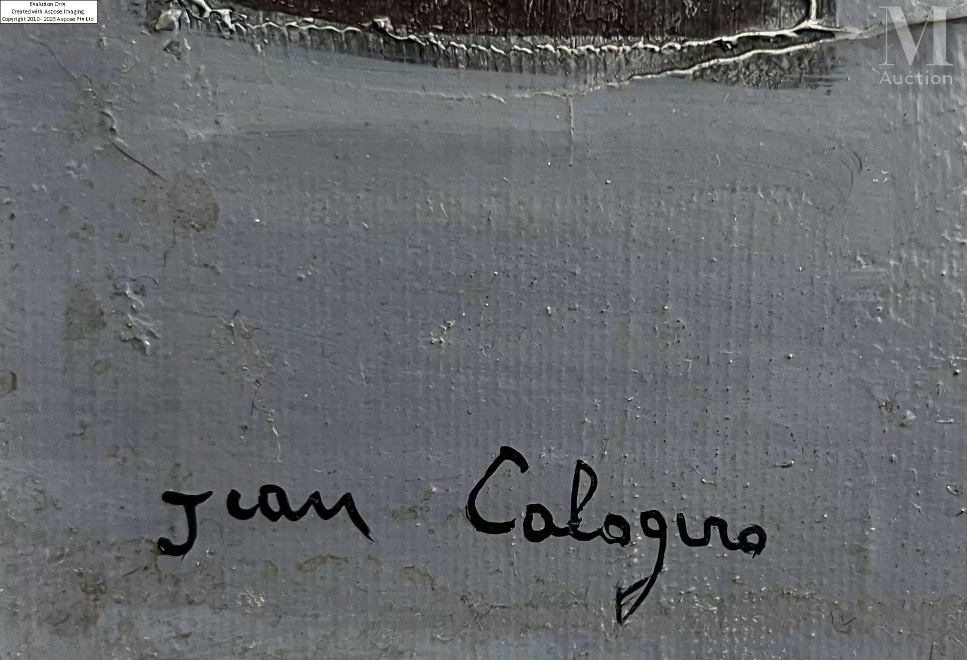 Jean Calogero | Jean CALOGERO (1922-2001 | MutualArt