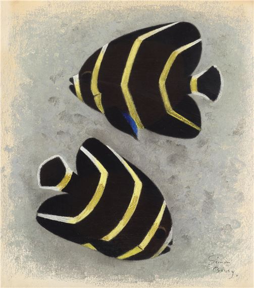 Simon Albert Bussy | Poissons Coralliens Noir a Bandes Jaunes | MutualArt