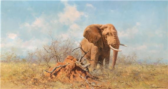David Shepherd | Elephant in the Brush (1980) | MutualArt