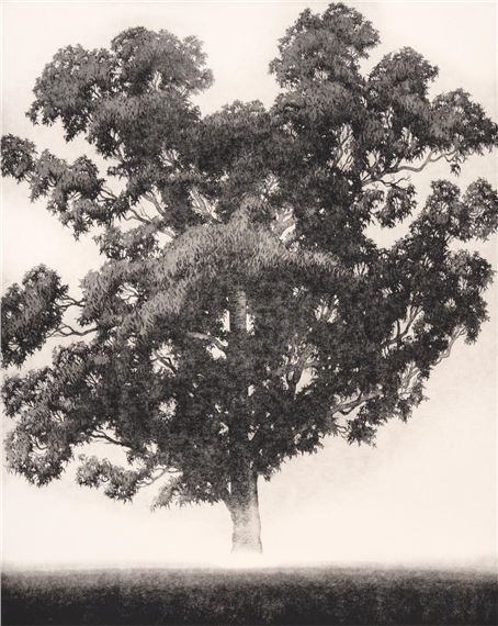 Peter Hickey | PETER HICKEY | MutualArt