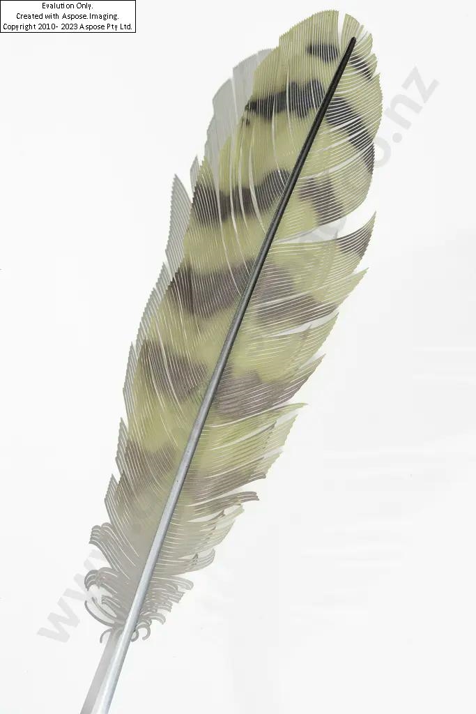 Neil Dawson | Kakapo Feather 800 | MutualArt