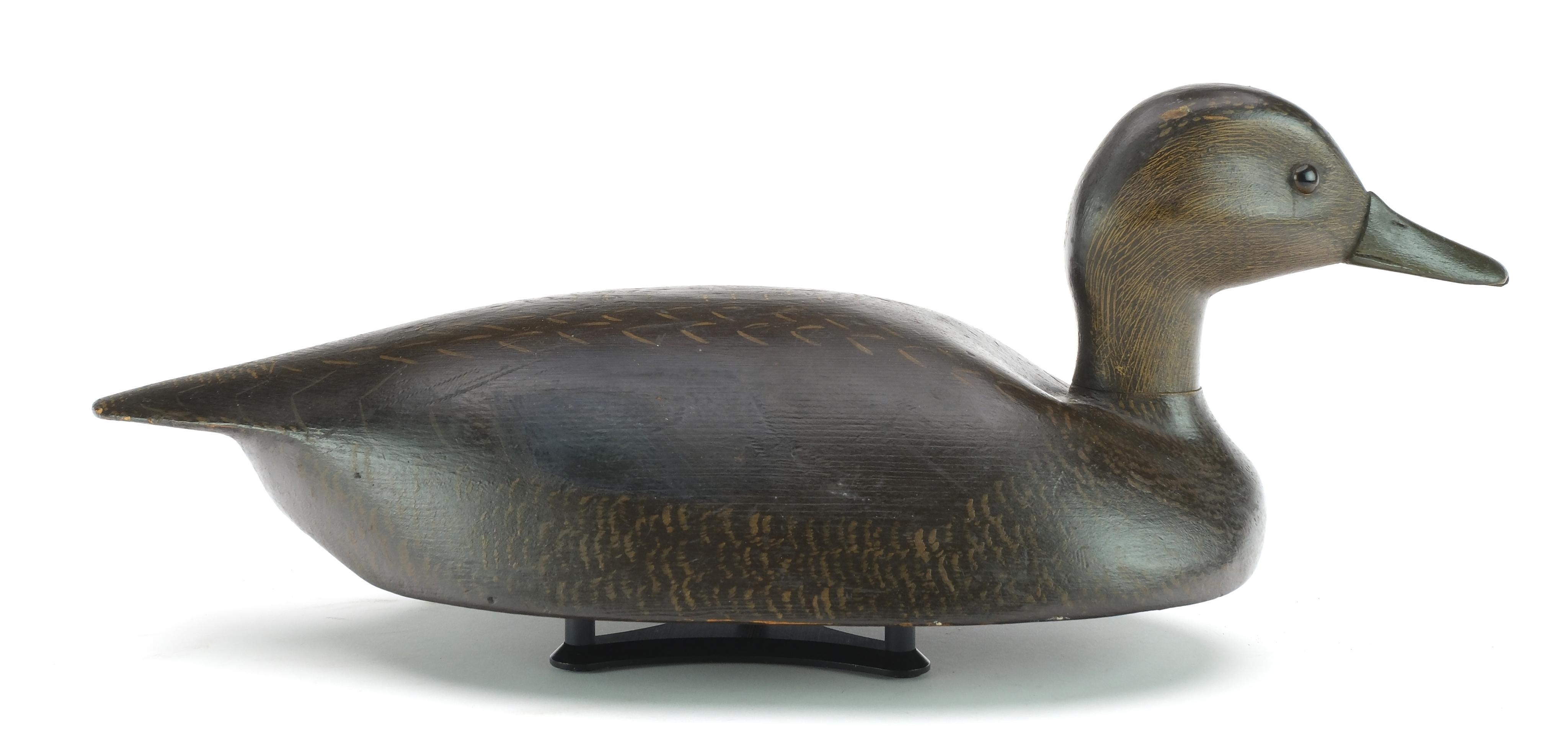 Billy Ellis | Black duck | MutualArt