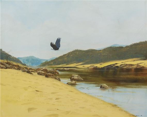 Craig Bone | Fish Eagle in Flight | MutualArt