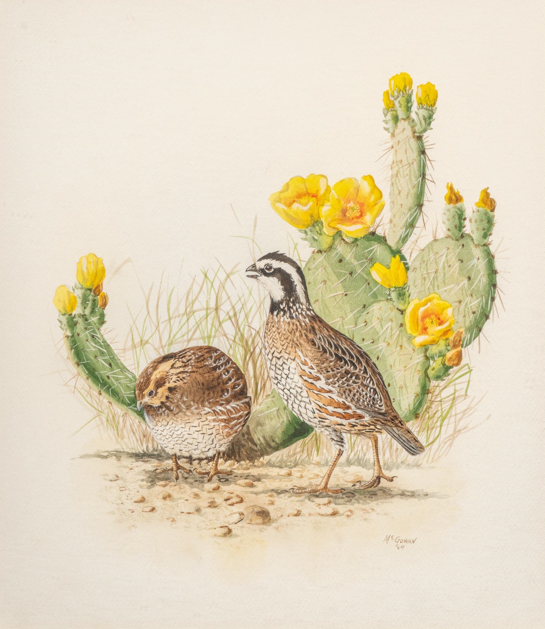 Nancy McGowan | Cactus and Quail (1969) | MutualArt