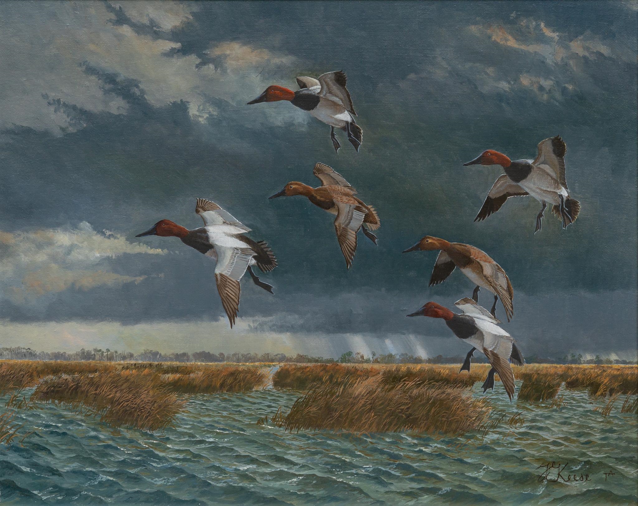 Travis Keese | Canvasbacks and Rainstorm | MutualArt