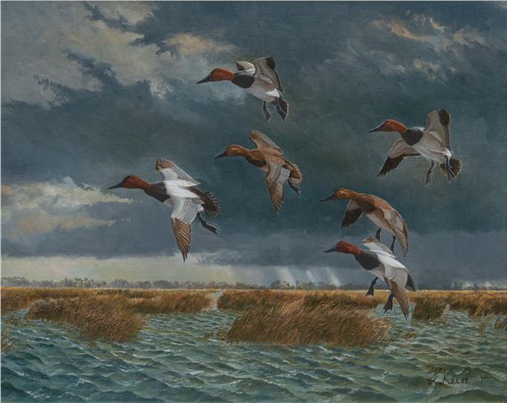 Travis Keese | Canvasbacks and Rainstorm | MutualArt