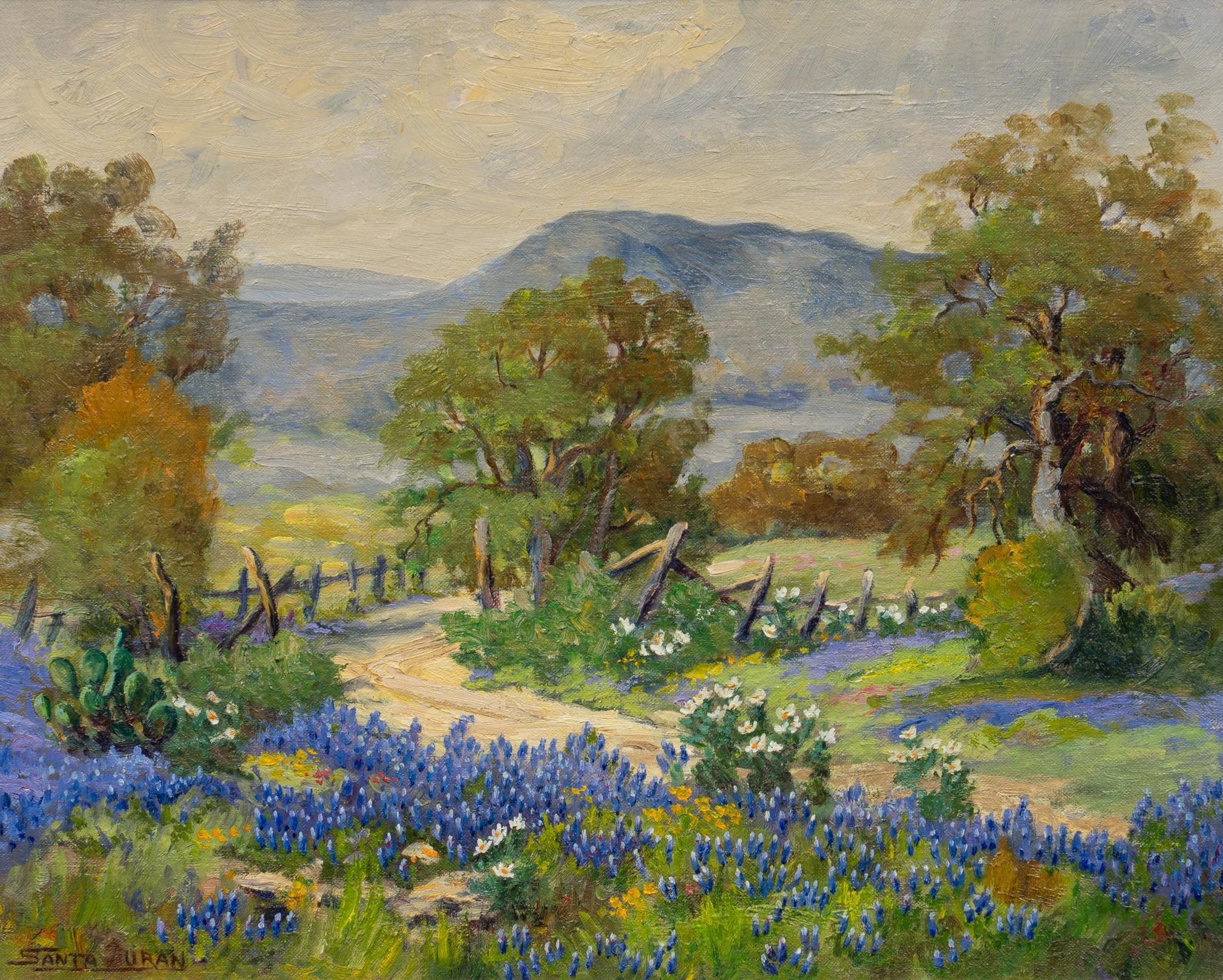 Santa Duran | Hill Country Bluebonnets | MutualArt