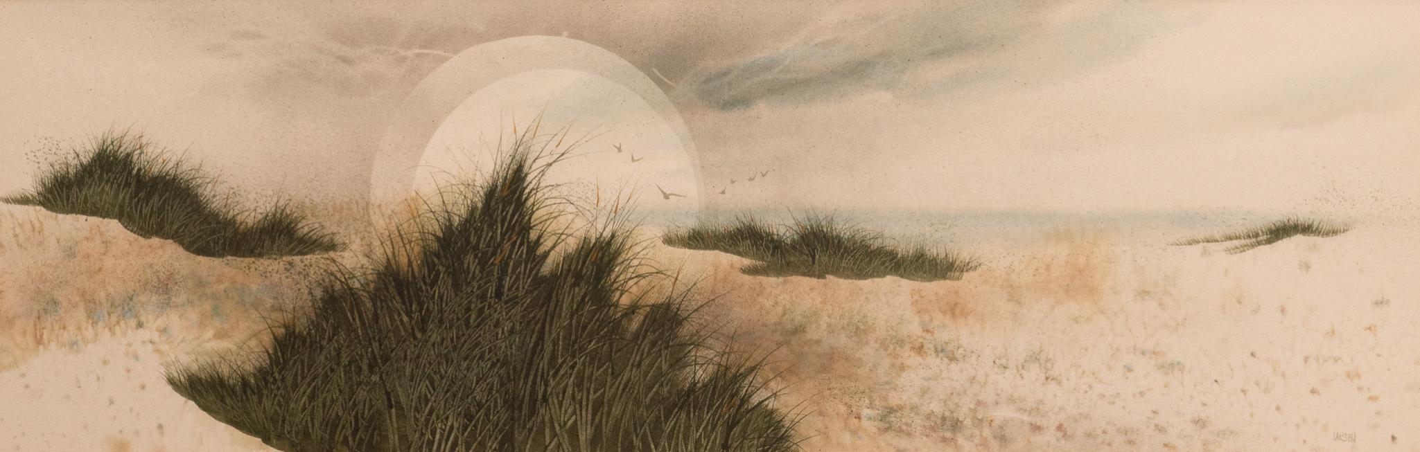 Fran Larsen | Texas Dunes | MutualArt