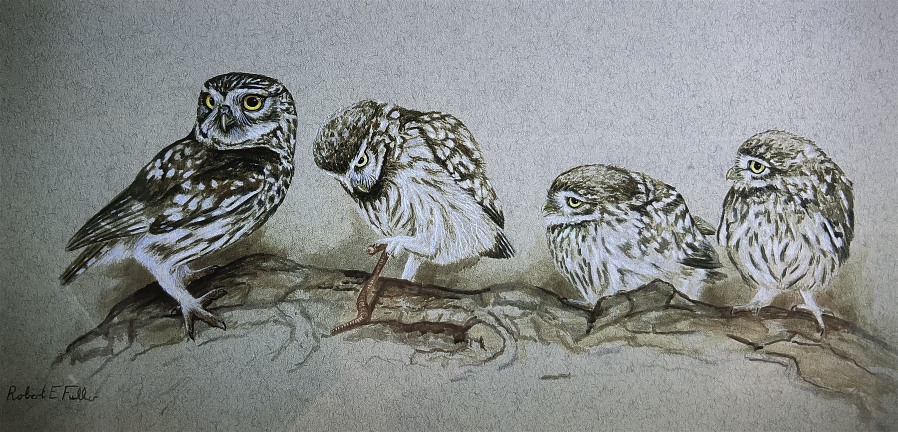 Robert E. Fuller | A Hoot of Owls | MutualArt