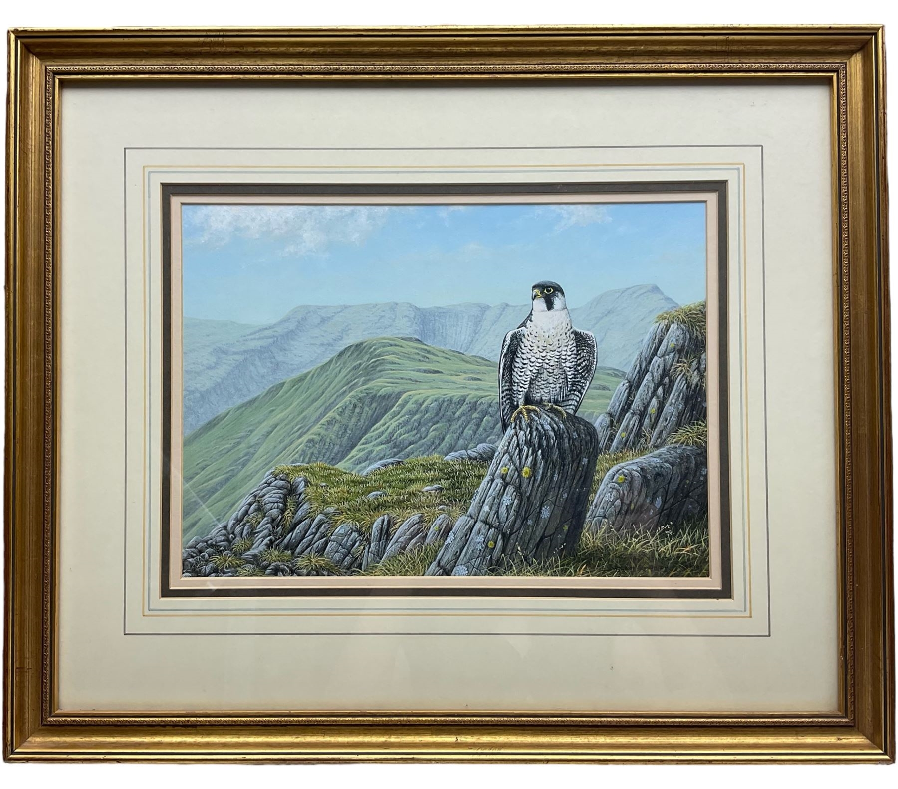W. Geoff Rollinson | Peregrine Falcon (1991) | MutualArt