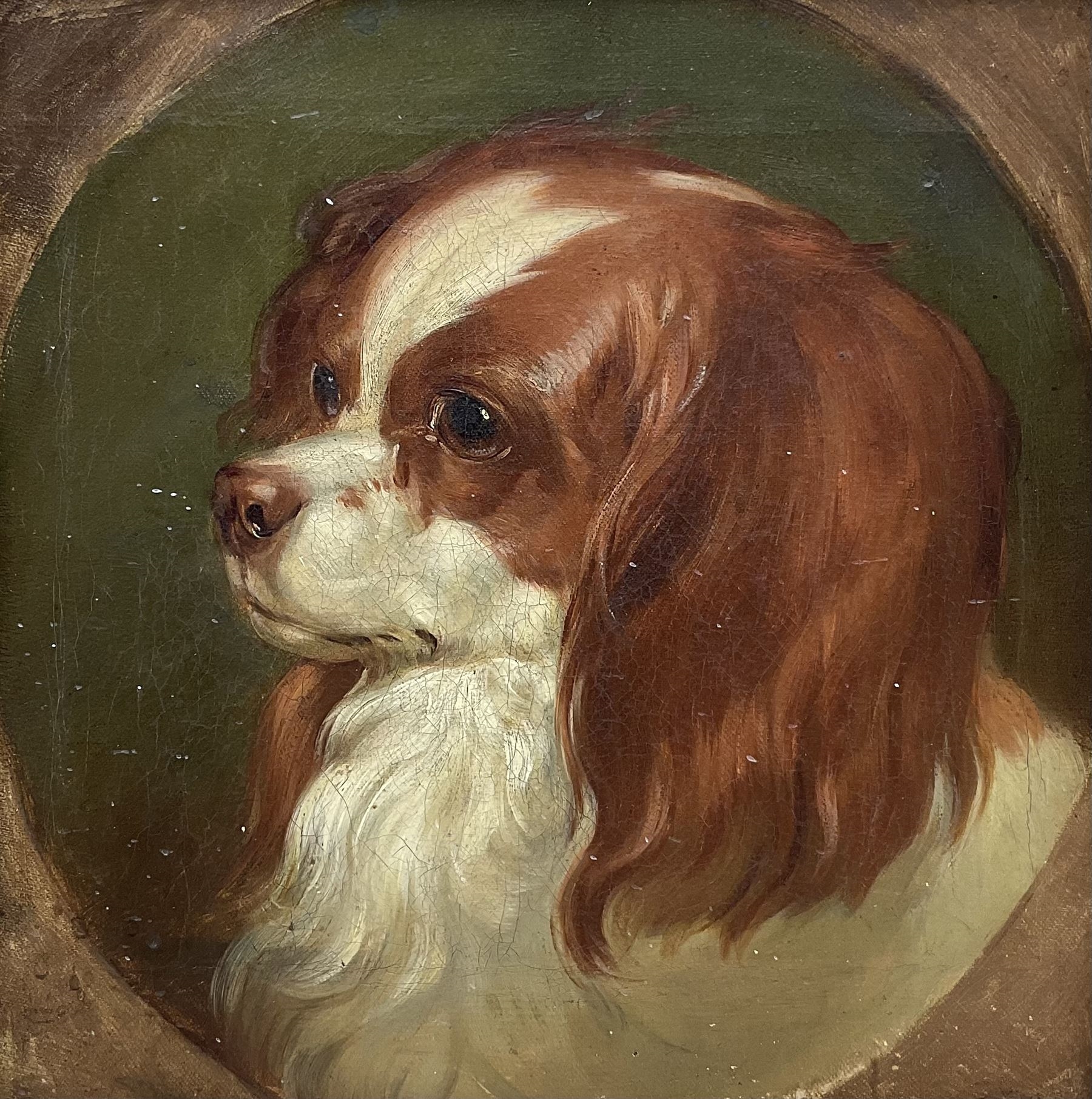George Earl | Portrait of a King Charles Spaniel | MutualArt