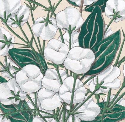 Park Junu | 안개꽃 (2023) | MutualArt