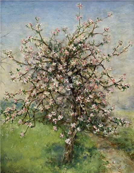 Alix Jennings | The Blossom Tree | MutualArt