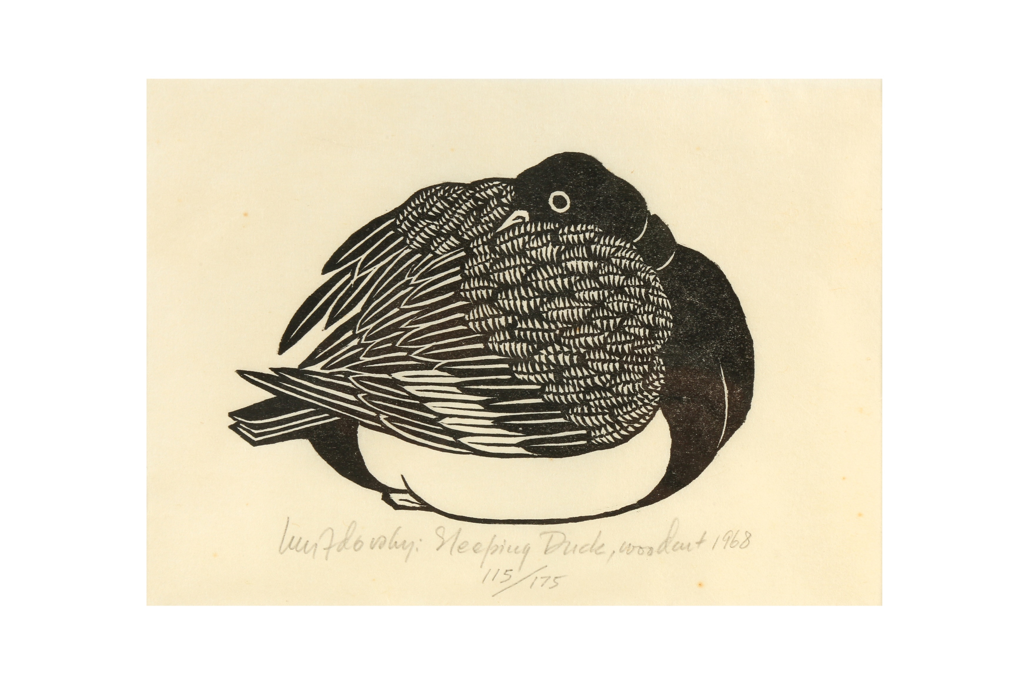 Jacques Hnizdovsky | Sleeping Duck (1968) | MutualArt