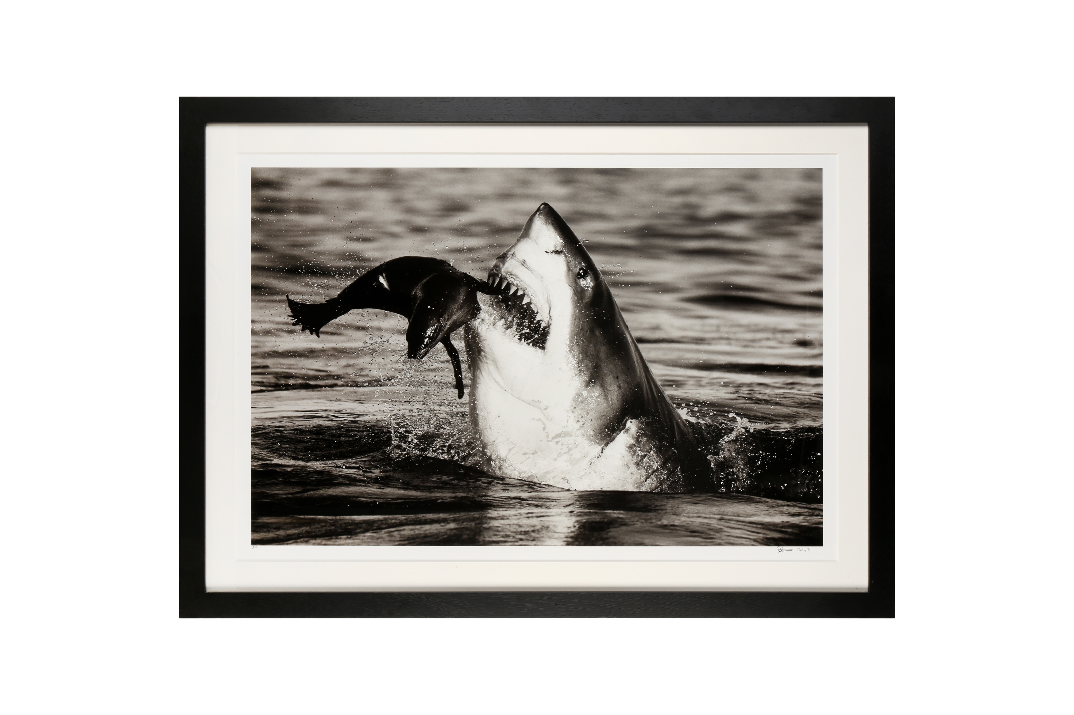 David Yarrow | DAVID YARROW (BRITISH B.1966) Jaws B & W 2011 signed ...