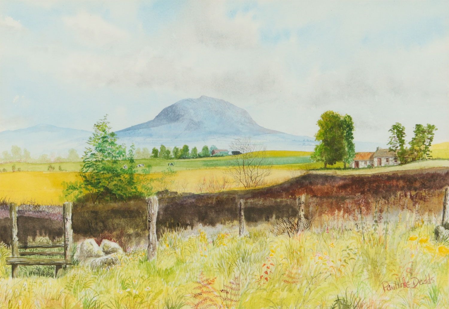 Pauline Dodds | SLEMISH MOUNTAIN, COUNTY ANTRIM | MutualArt
