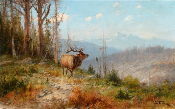 John Fery | Glacier Park Elk | MutualArt