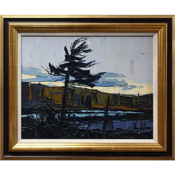 Thomas Frederick Haig Chatfield | THOMAS FREDERICK HAIG CHATFIELD ...