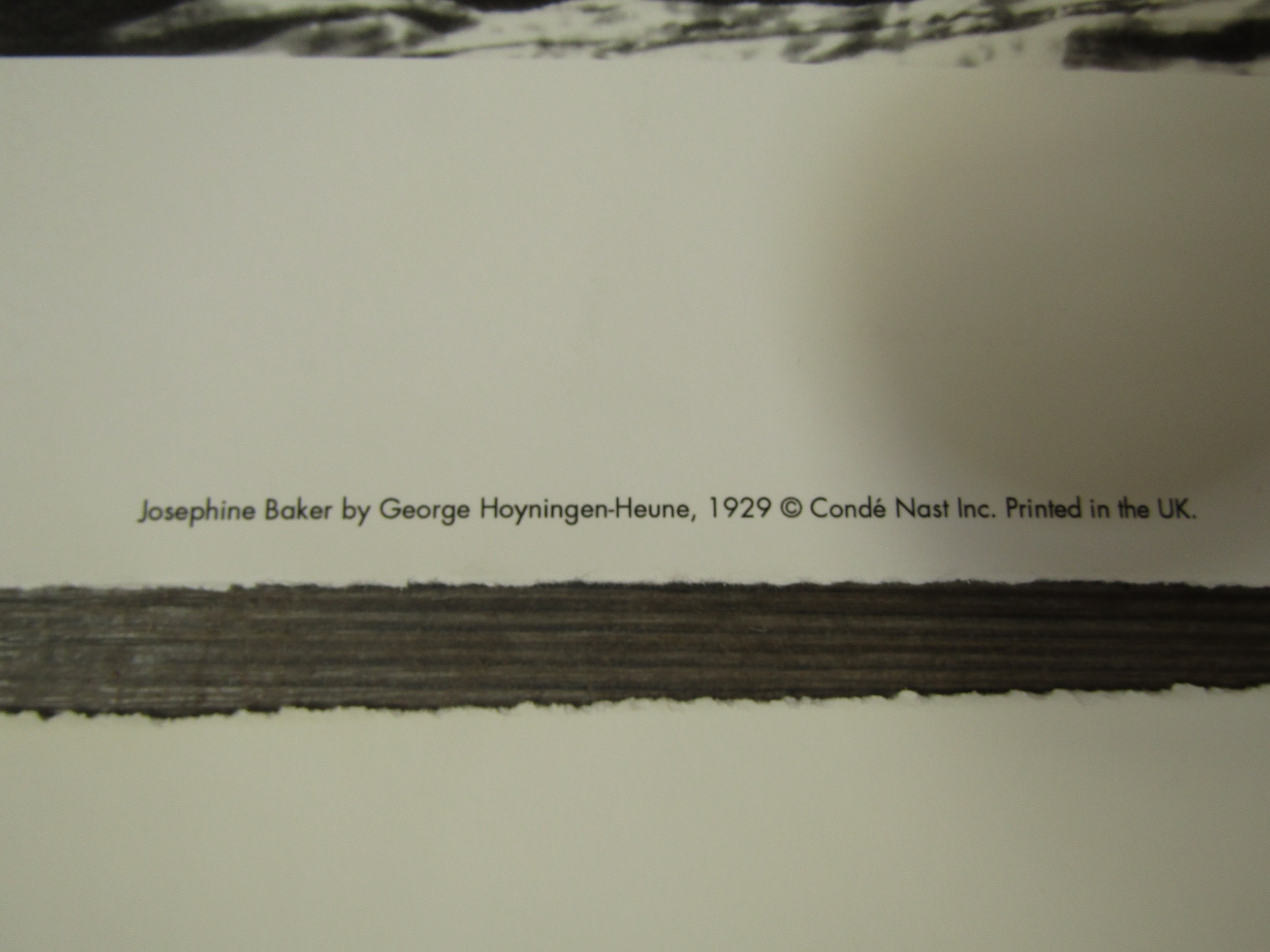 Robert Mapplethorpe | A collection of photographic fashion art in the ...