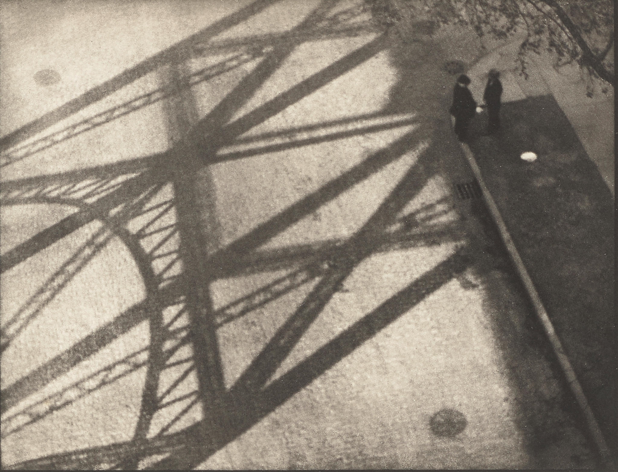 Paul Strand | Blasted Tree, Colorado. (1926) | MutualArt