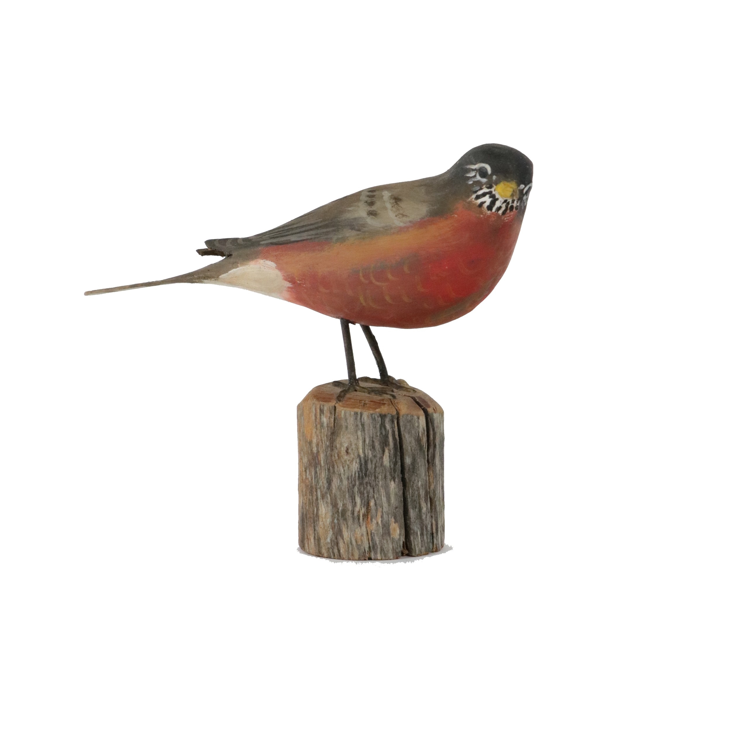 Peter Peltz | Robin | MutualArt