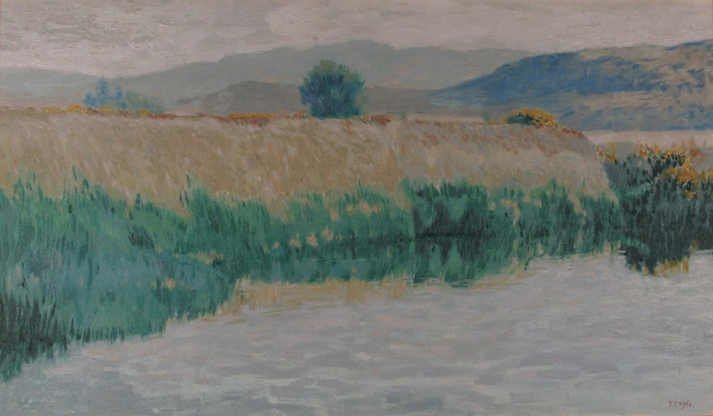 Terence Coyle | Lakeside View of Lough Neagh | MutualArt